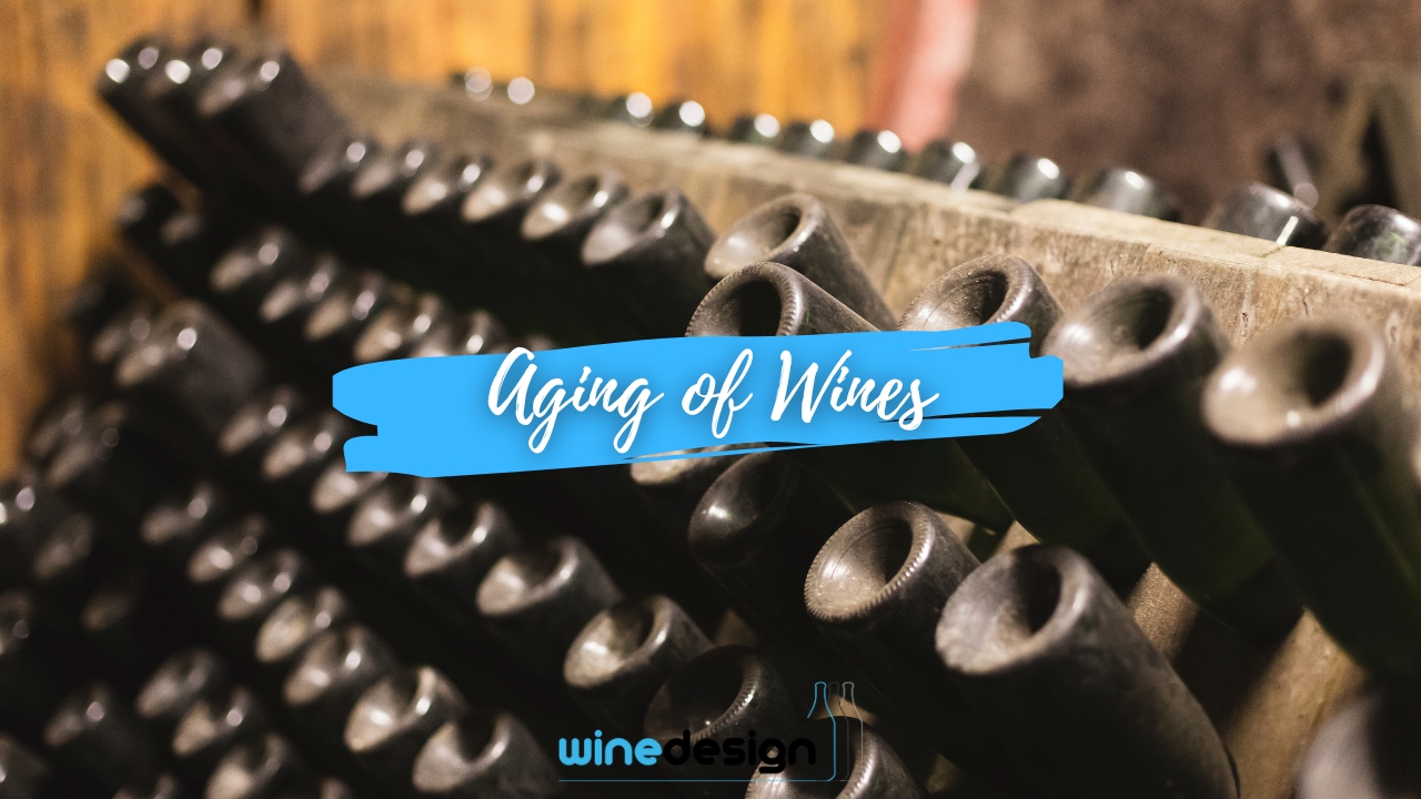 How to Age Wine and Know When to Open It